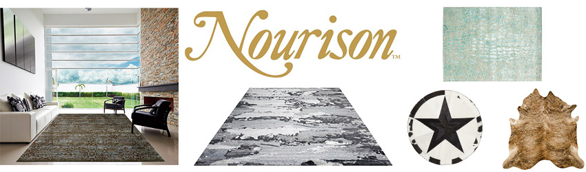 Nourison Area Rug Collection | Nourison Rugs For Sale