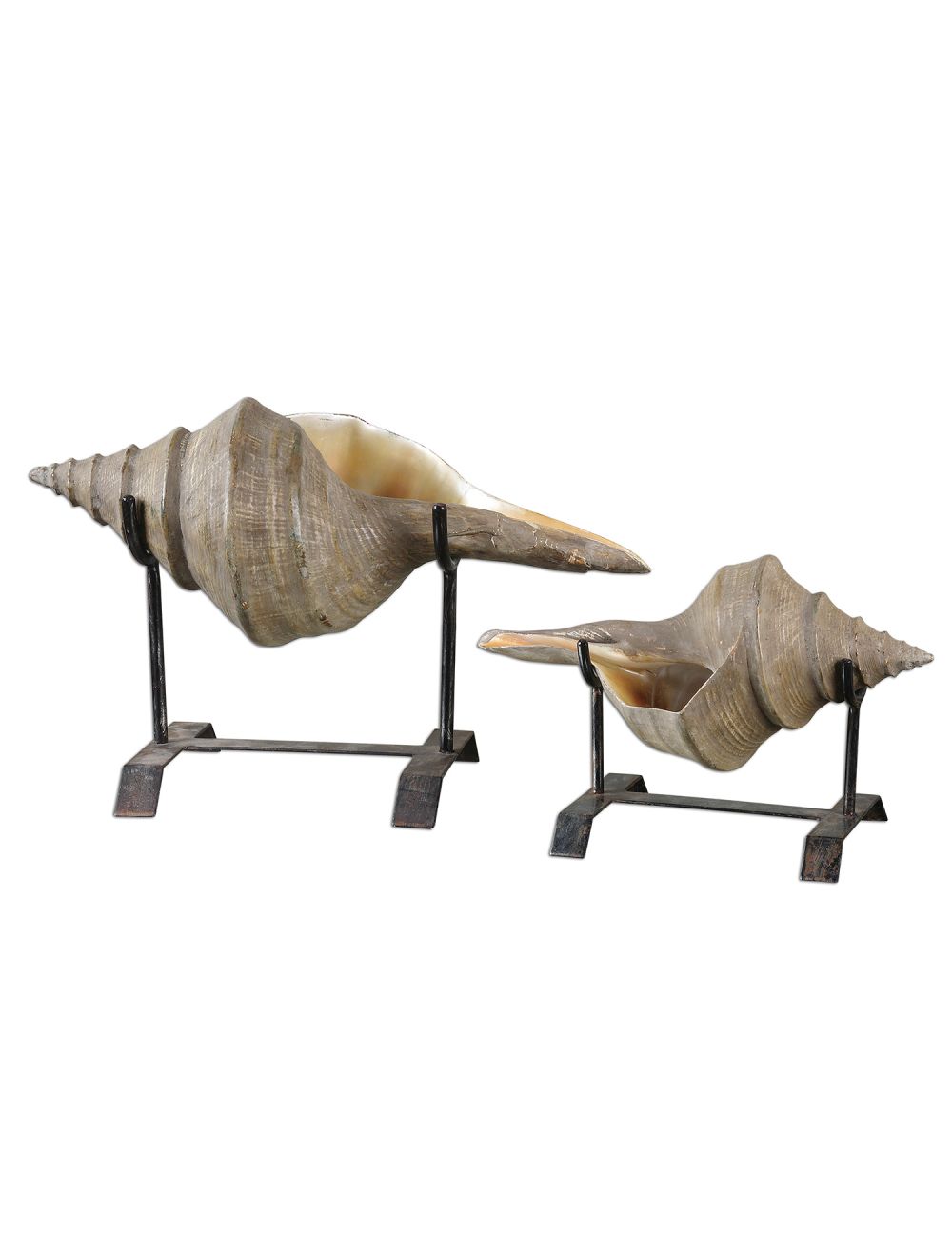 Conch Shell Sculpture - Metal Stand - Set | Uttermost 19556